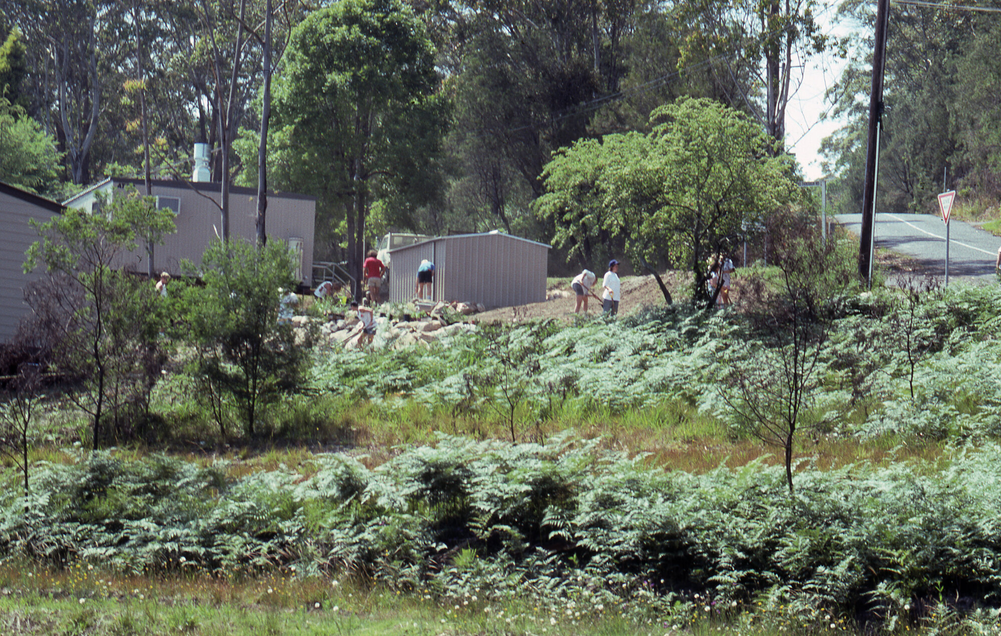 Landscaping - University of Newcastle - Ourimbah Campus | Living Histories