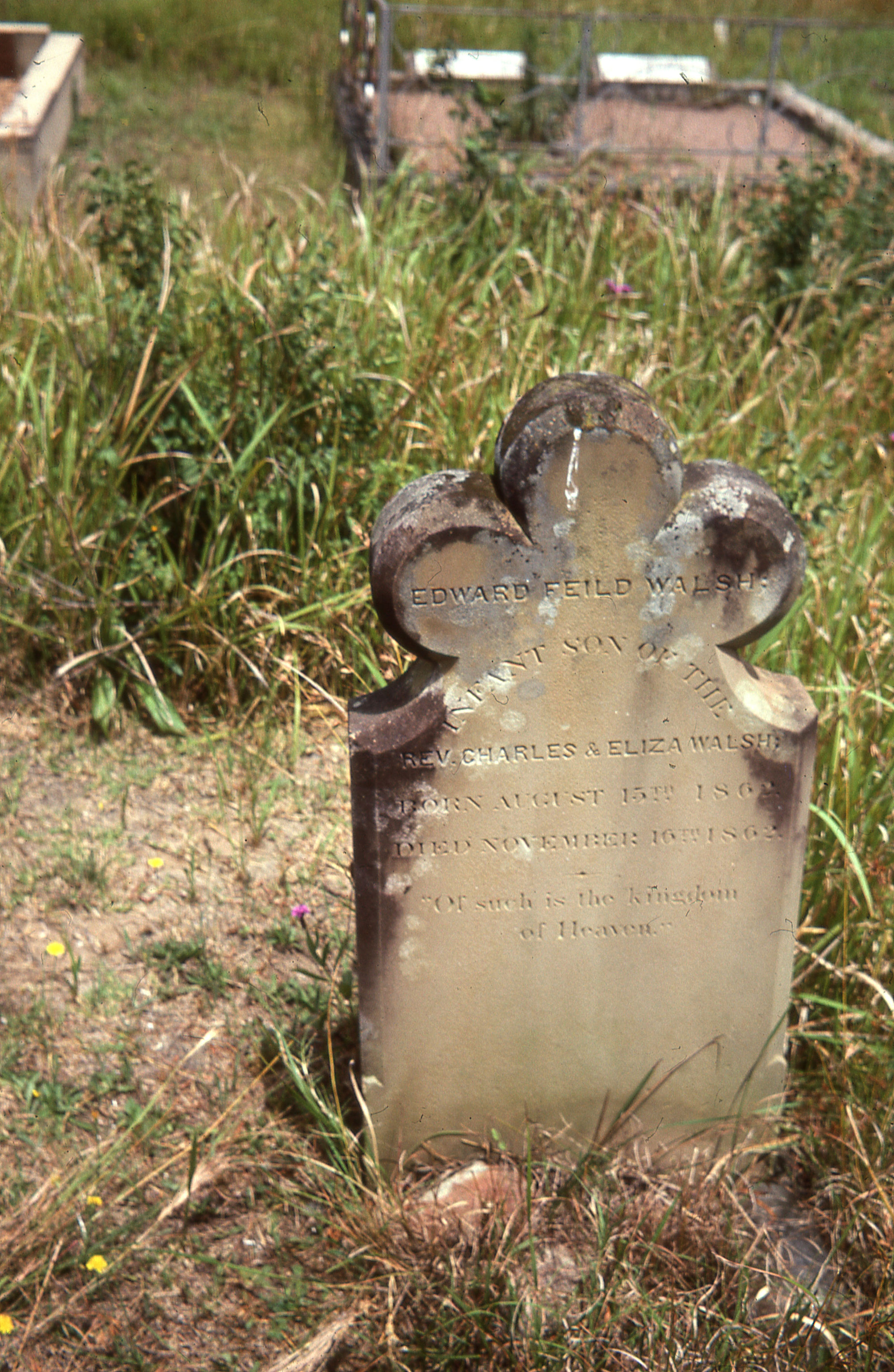 Grave of Edward Feild Walsh, Morpeth Cemetery, Morpeth, NSW, [1970s ...