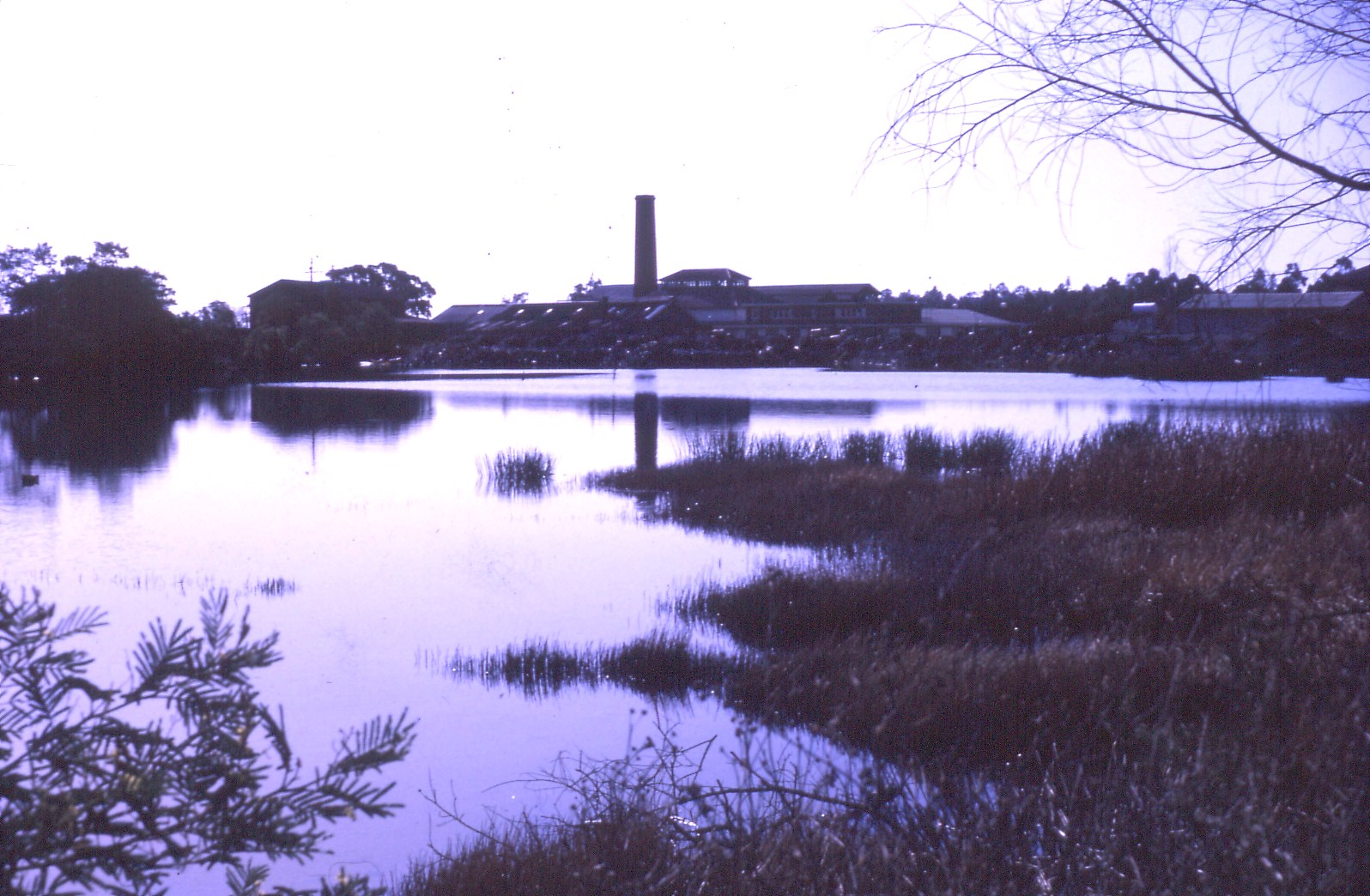 Bellbird Colliery - Looking across dam from a westerly direction (late ...