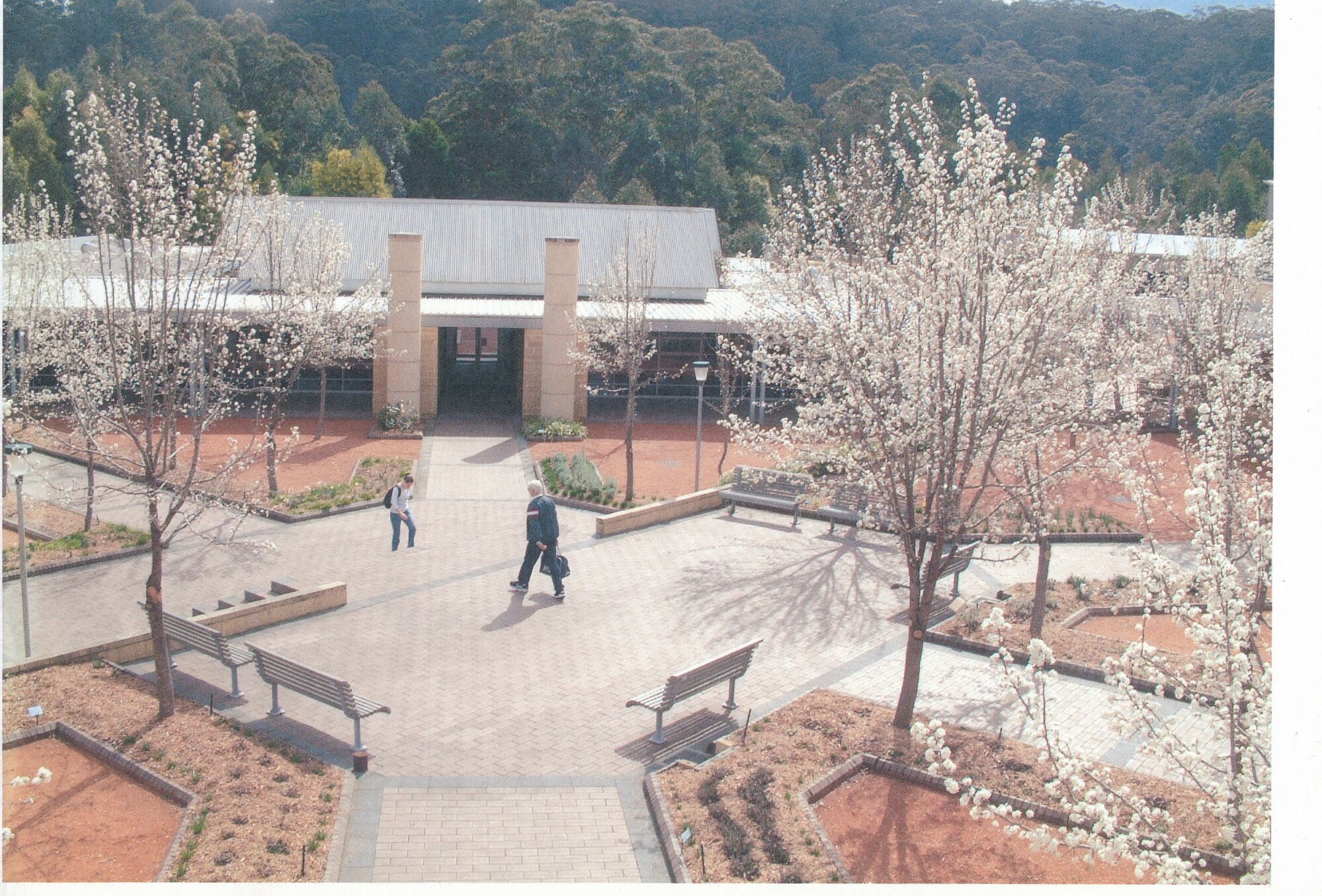 [Taken at the University of Newcastle's Central Coast Campus, Ourimbah ...