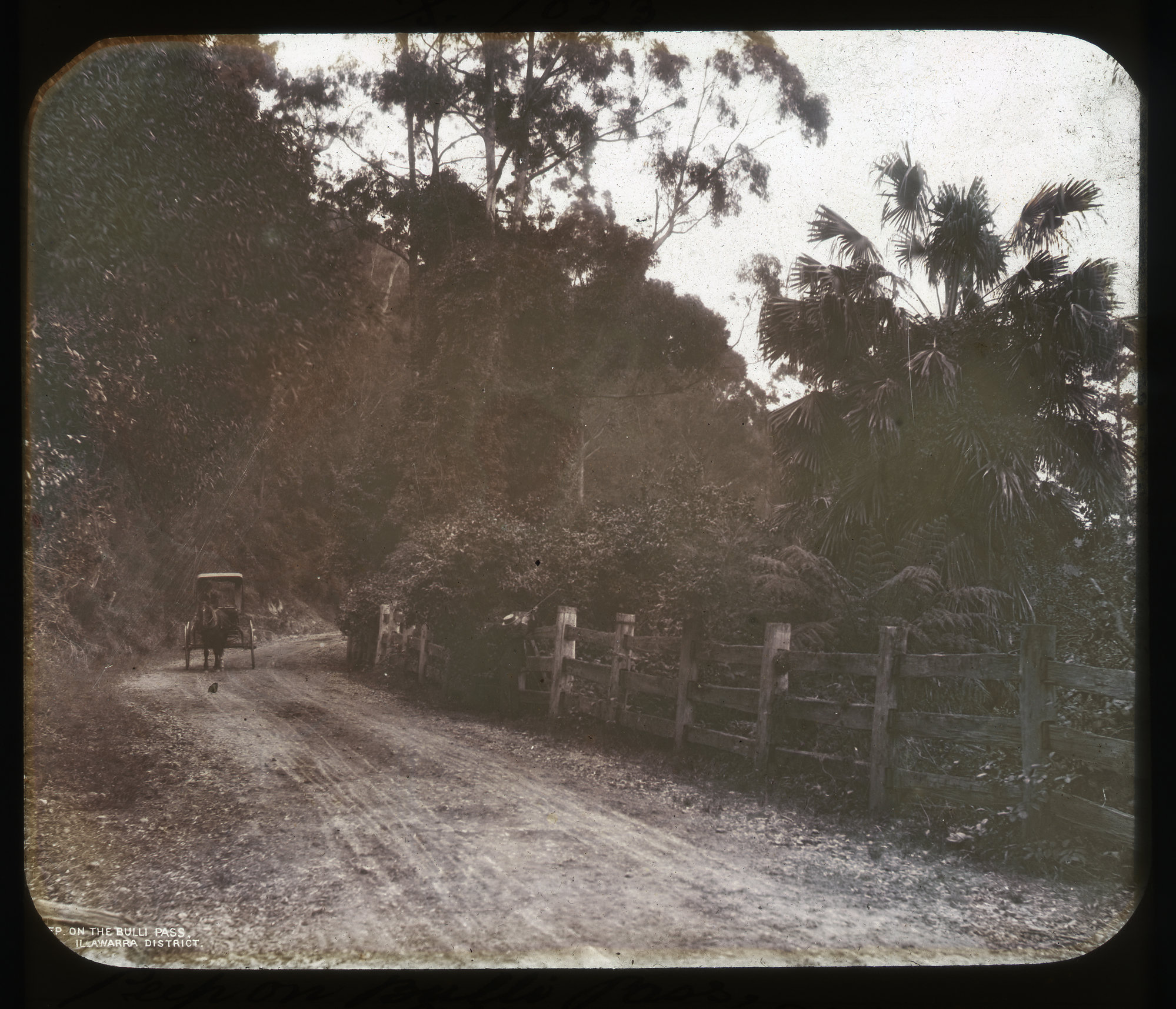 Bulli Pass, Illawarra District, NSW | Living Histories