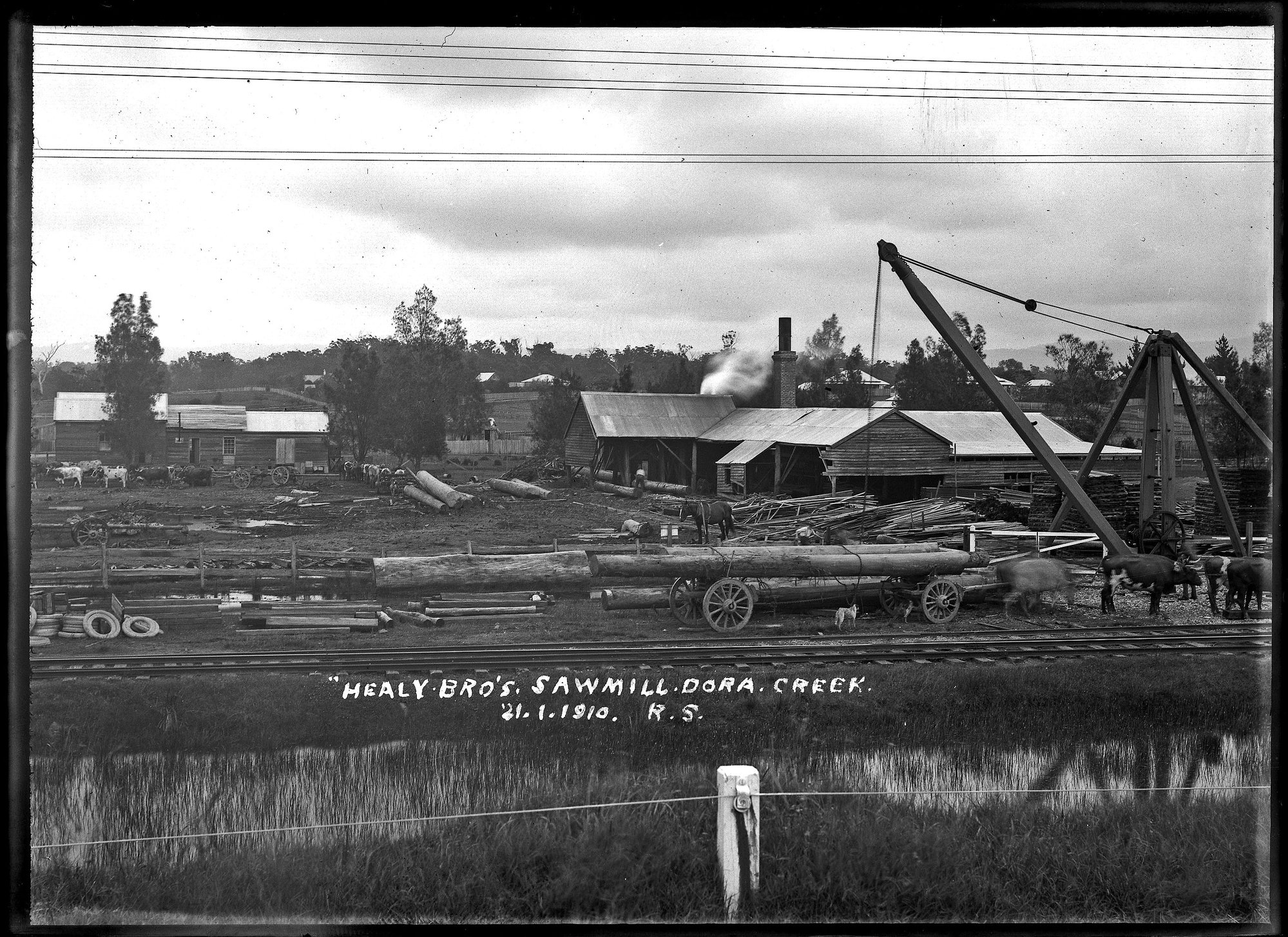 Healy Brothers Sawmill, Dora Creek, NSW, 21 January 1910 | Living Histories