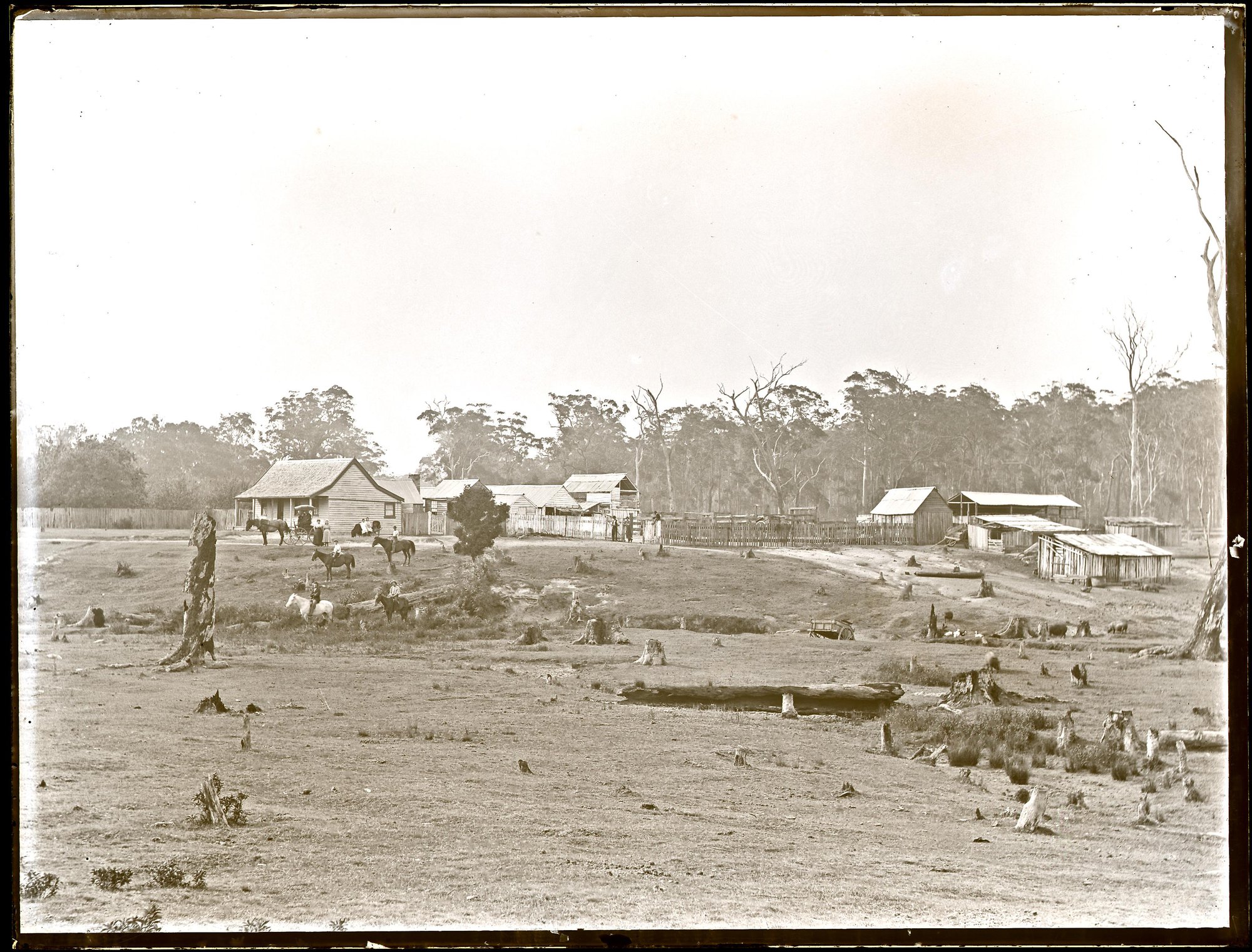Michael McNamara's farm, Cardiff, NSW, 16 January, 1899 | Living Histories