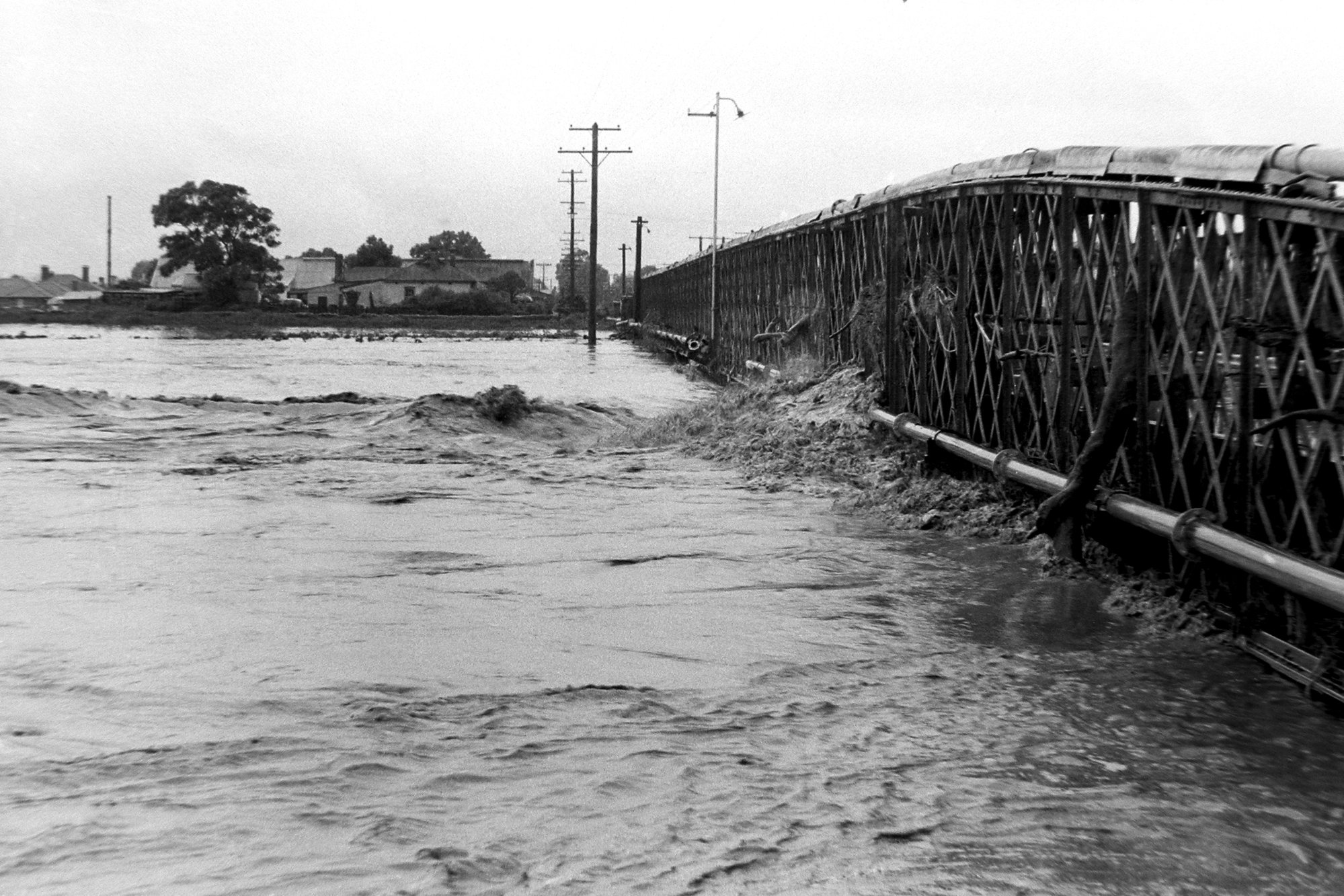 Flood water under bridge during Maitland Flood, 1955: Lucey Collection ...