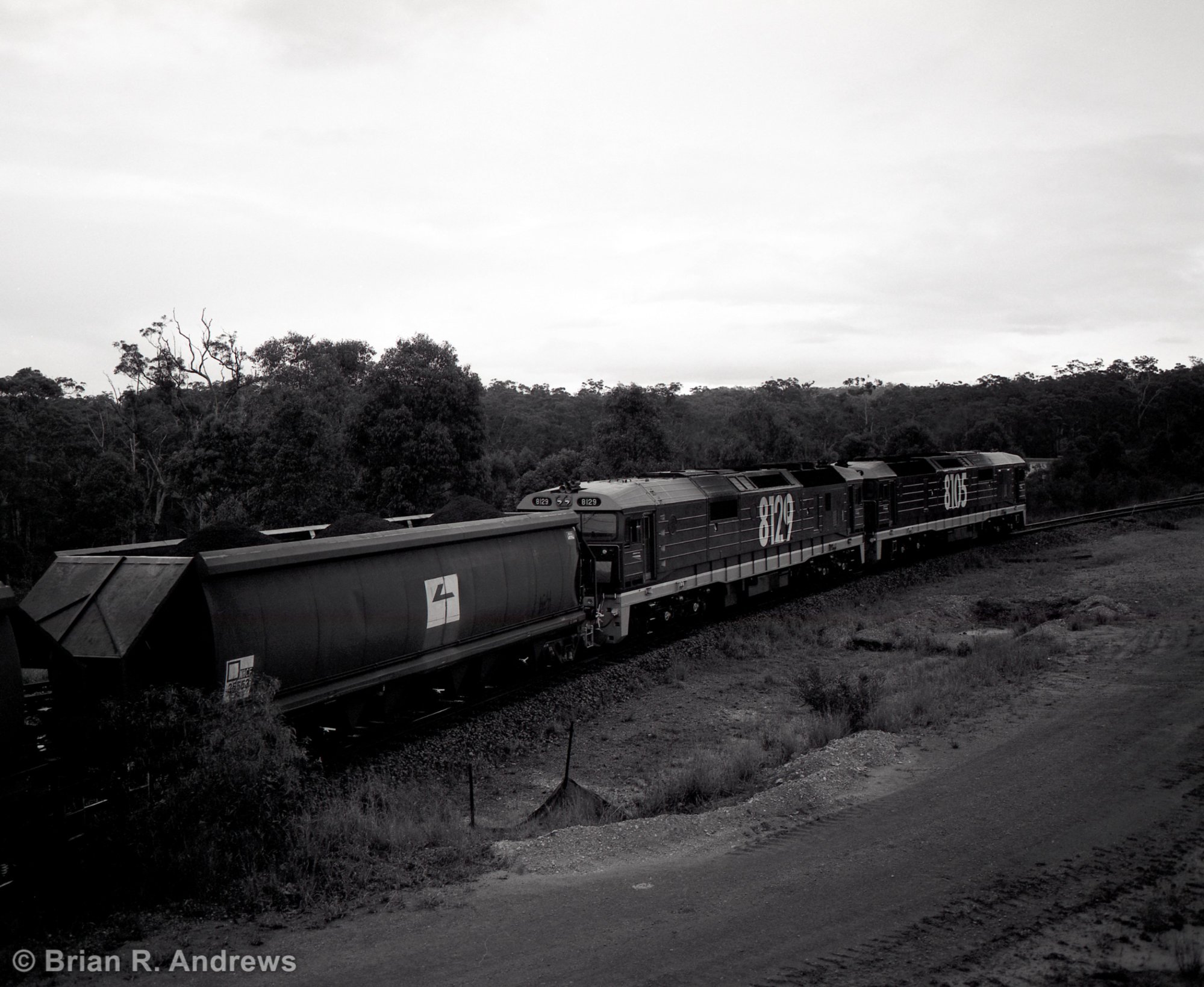 8129 and 8105 banking Newstan Colliery, 23 July 1994 | Living Histories