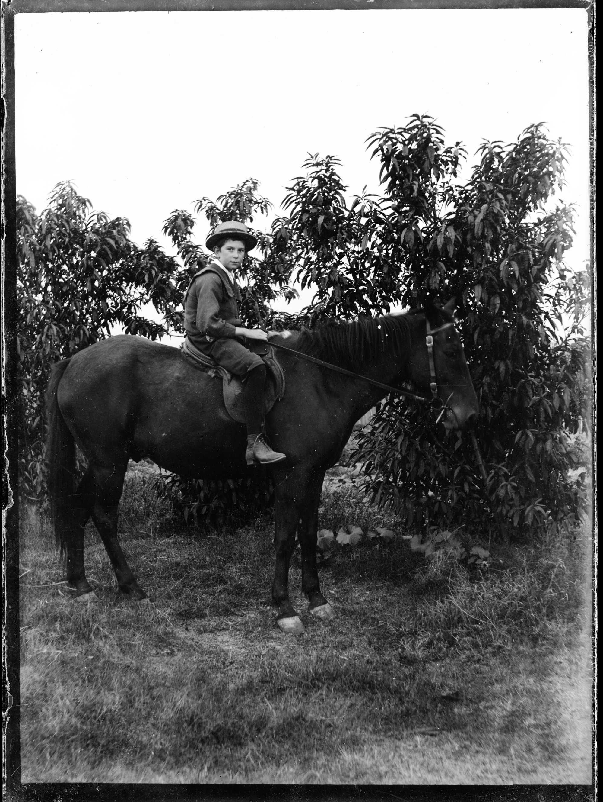 Danny Rees on horseback | Living Histories