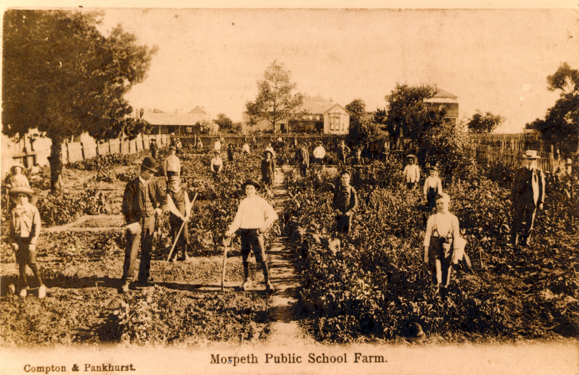 Morpeth Public School Farm (postcard), 1925-1926 | Living Histories