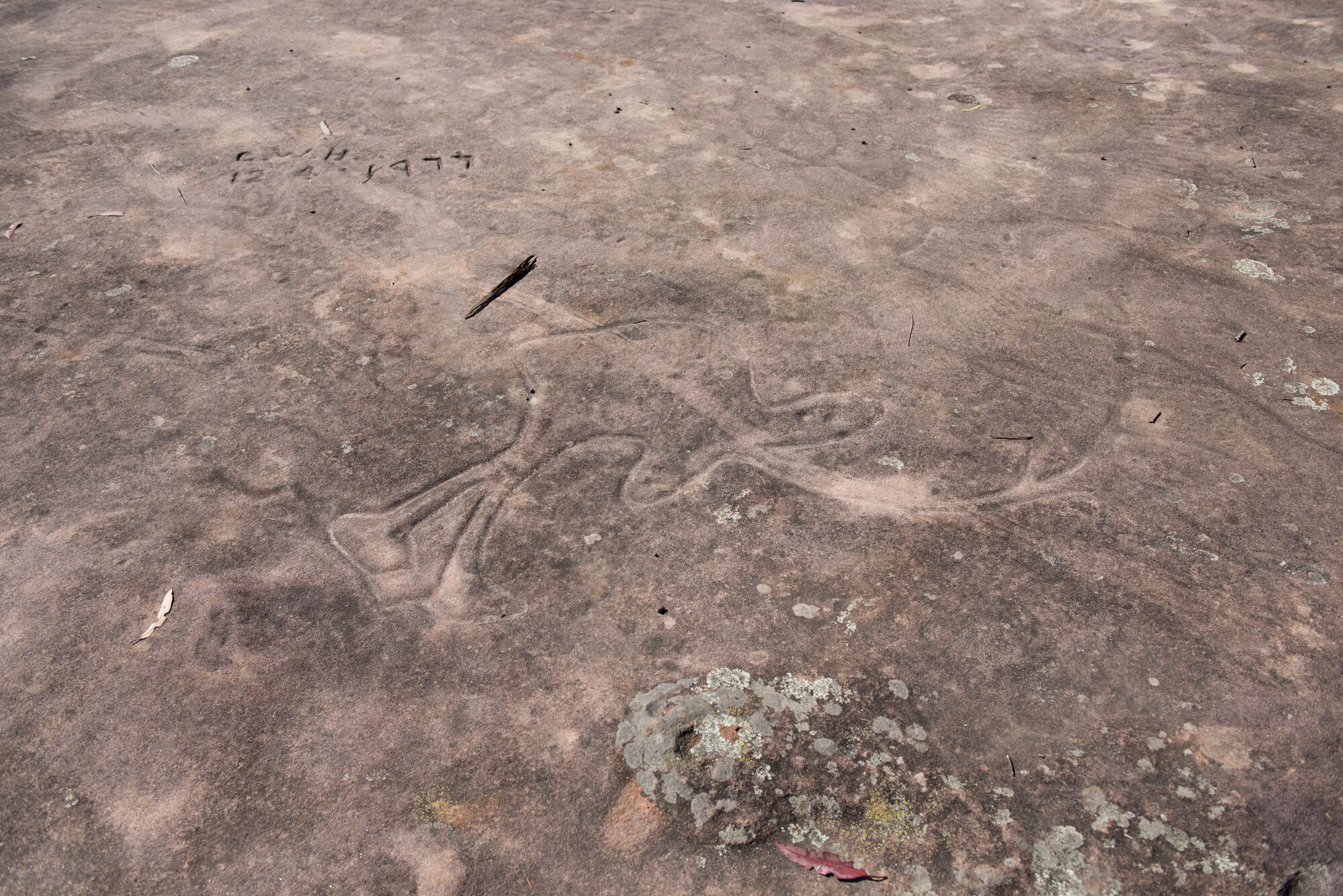 Rock art, Finchley Reserve, Yengo National Park, NSW - Photo 0074 ...