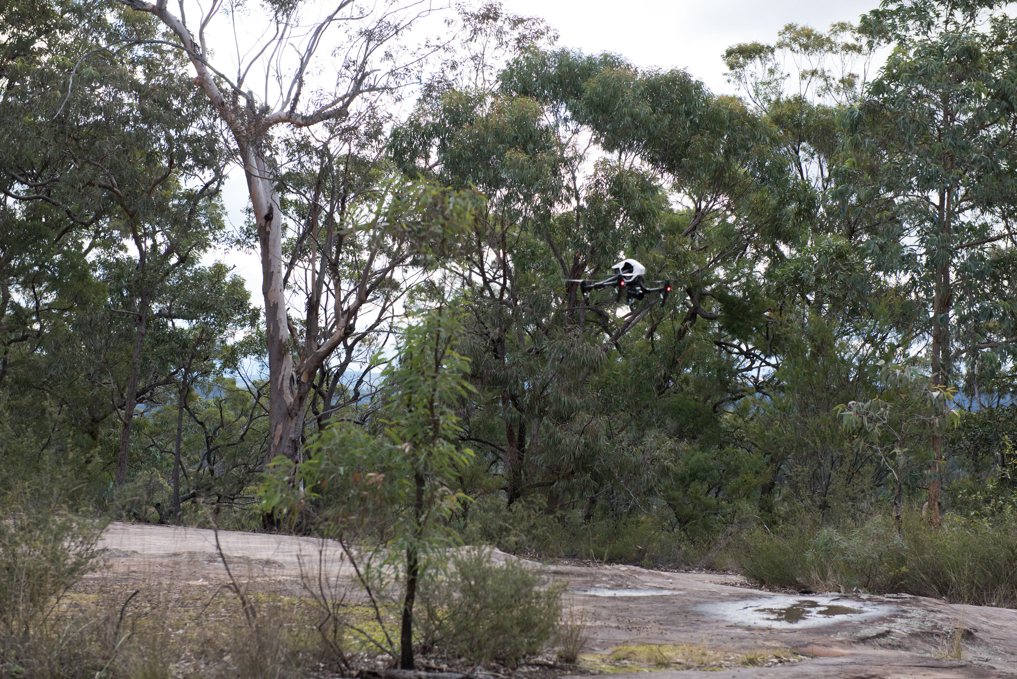 Finchley Reserve, Yengo National Park, NSW - Photo 0123 | Living Histories