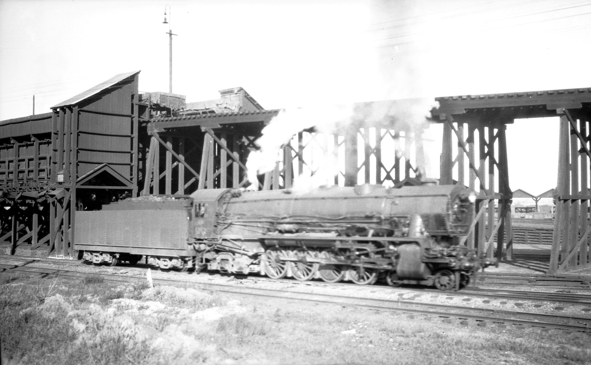 NSWGR D57 Class locomotive, at coal stage, unidentified location, [n.d ...