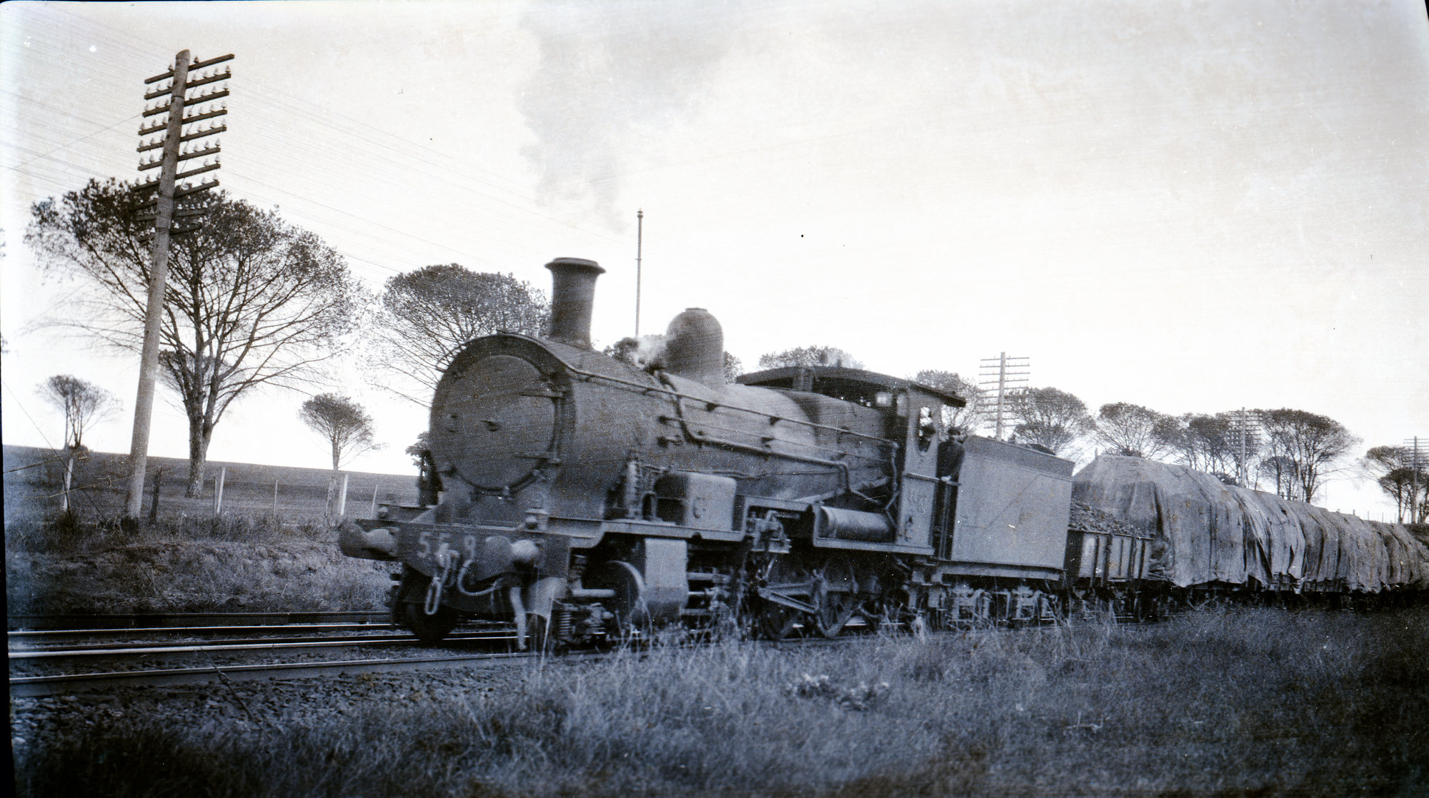 NSWGR D55 Class, no. 558-, hauling freight, unidentified location, [n.d ...