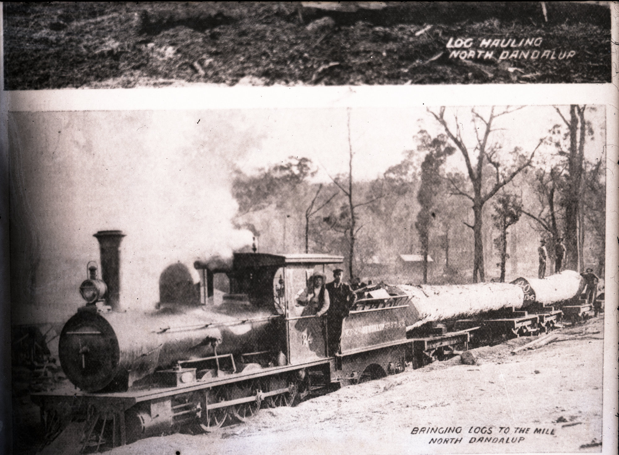 Whittaker's no. 24, ex WAGR M Class, caption reads "Bringing logs to ...