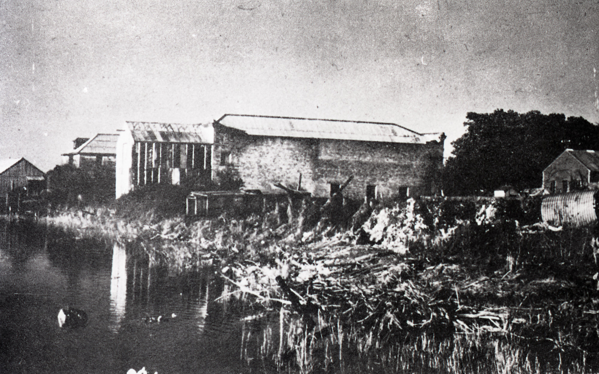 West Maitland from the Hunter, NSW, 1878, from H W H King, The Urban ...