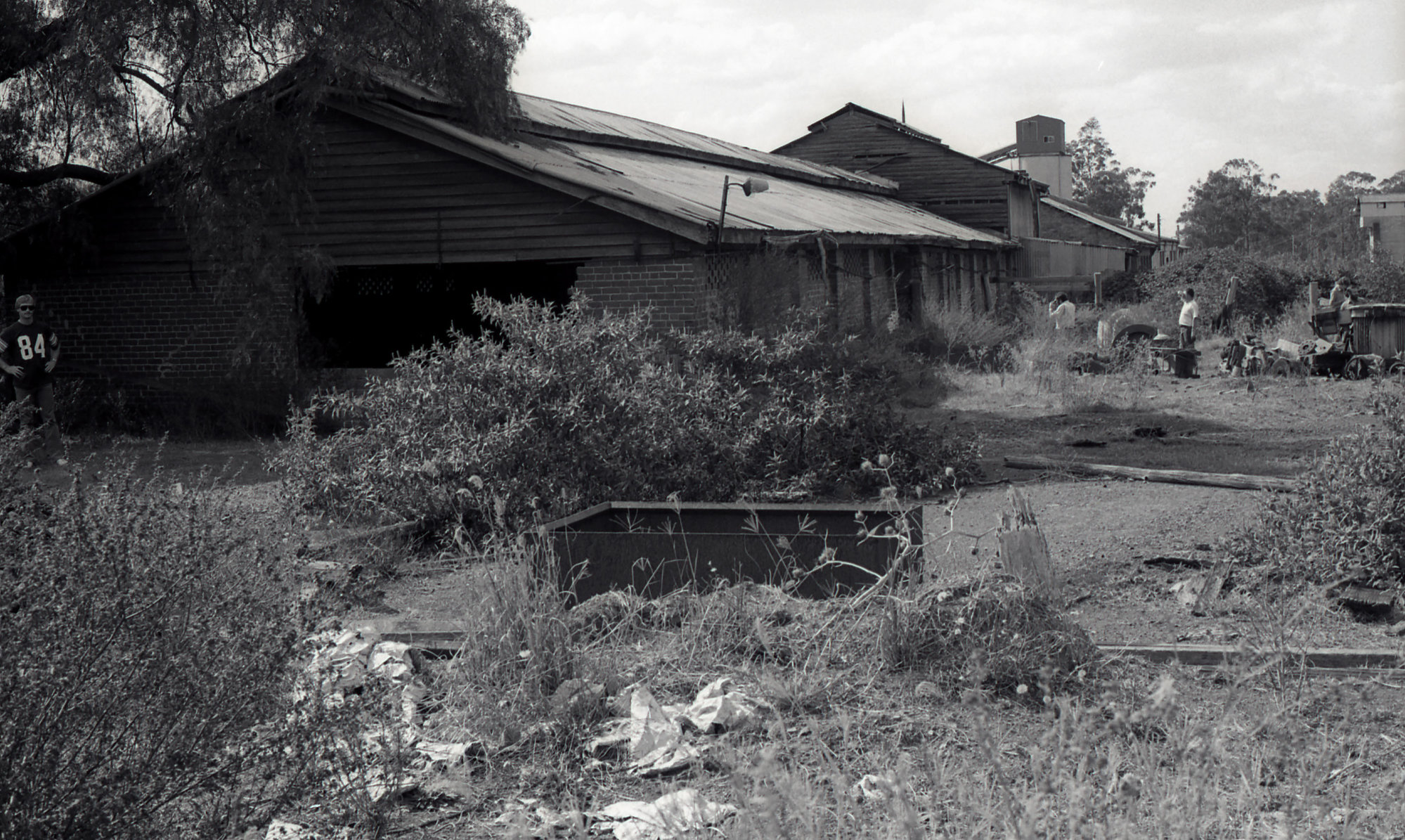 Stables, Pelton Colliery, NSW, 30 April 1980 | Living Histories