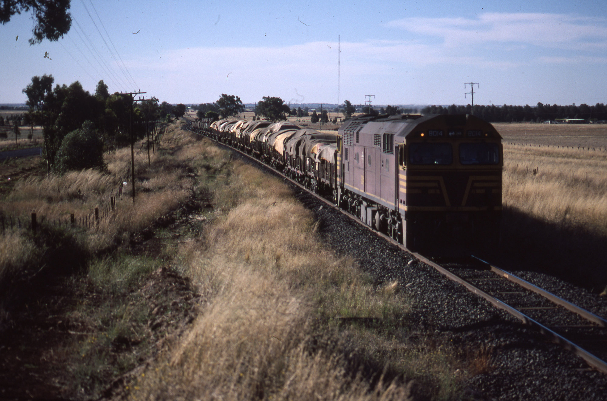 8014, freight train, Eulomogo, NSW, [1987] | Living Histories