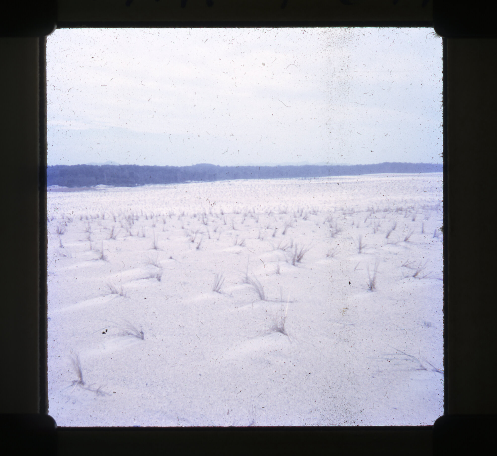 [Broughton Island] treated area, Dark Point, NSW, 1971 | Living Histories