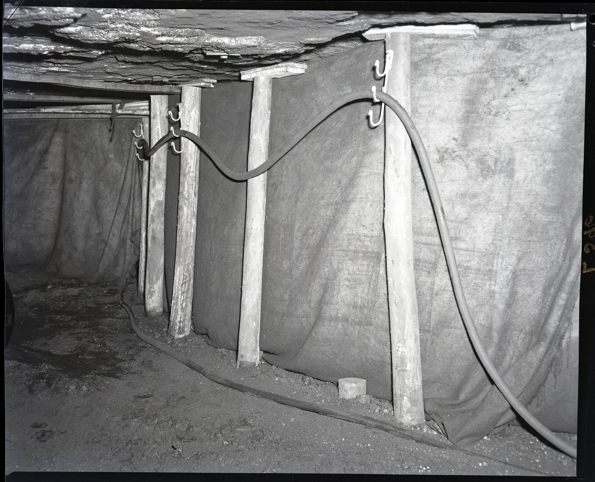 Underground coal mine with large cables and pit props, Burwood [No 3 ...